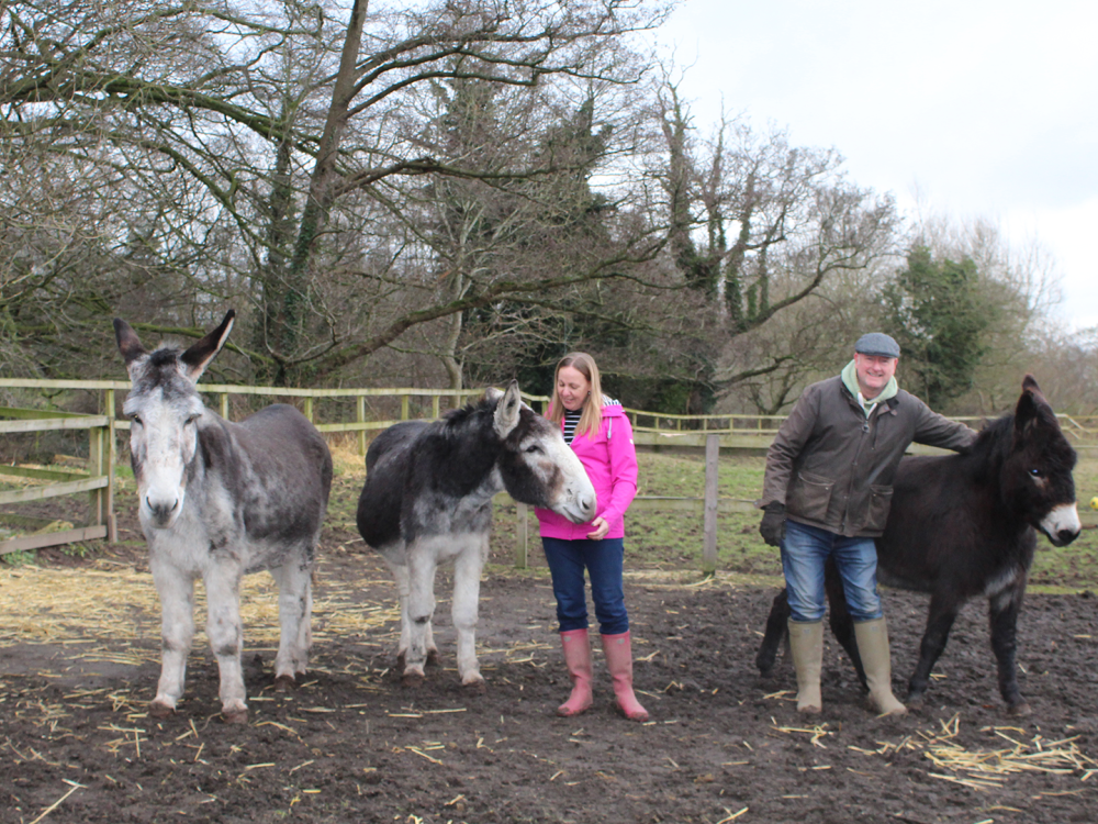Donkeys Henry and James enrich life of bereaved Gerald
